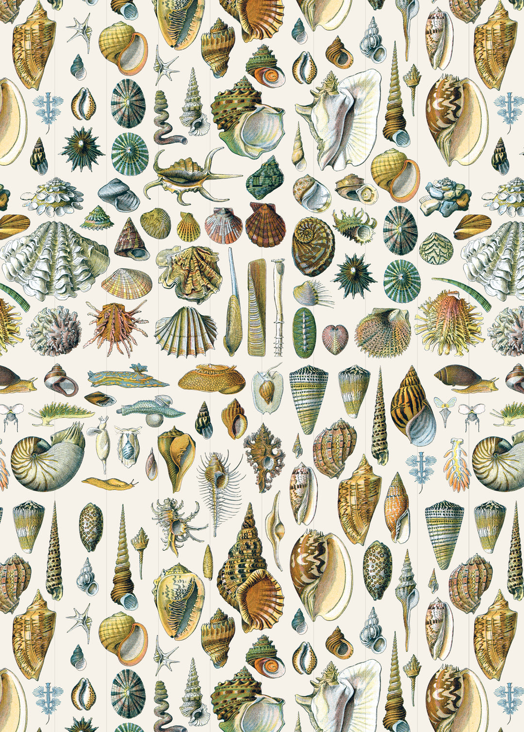 Natural History Label, Sticker & Tape Book | The Pepin Press ...